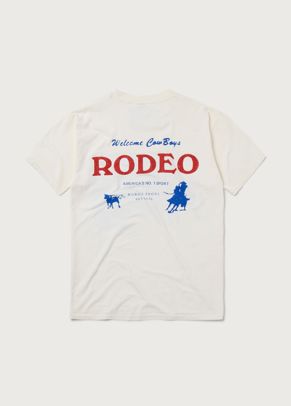 America's Sport T-Shirt | Bone | One Of These Days