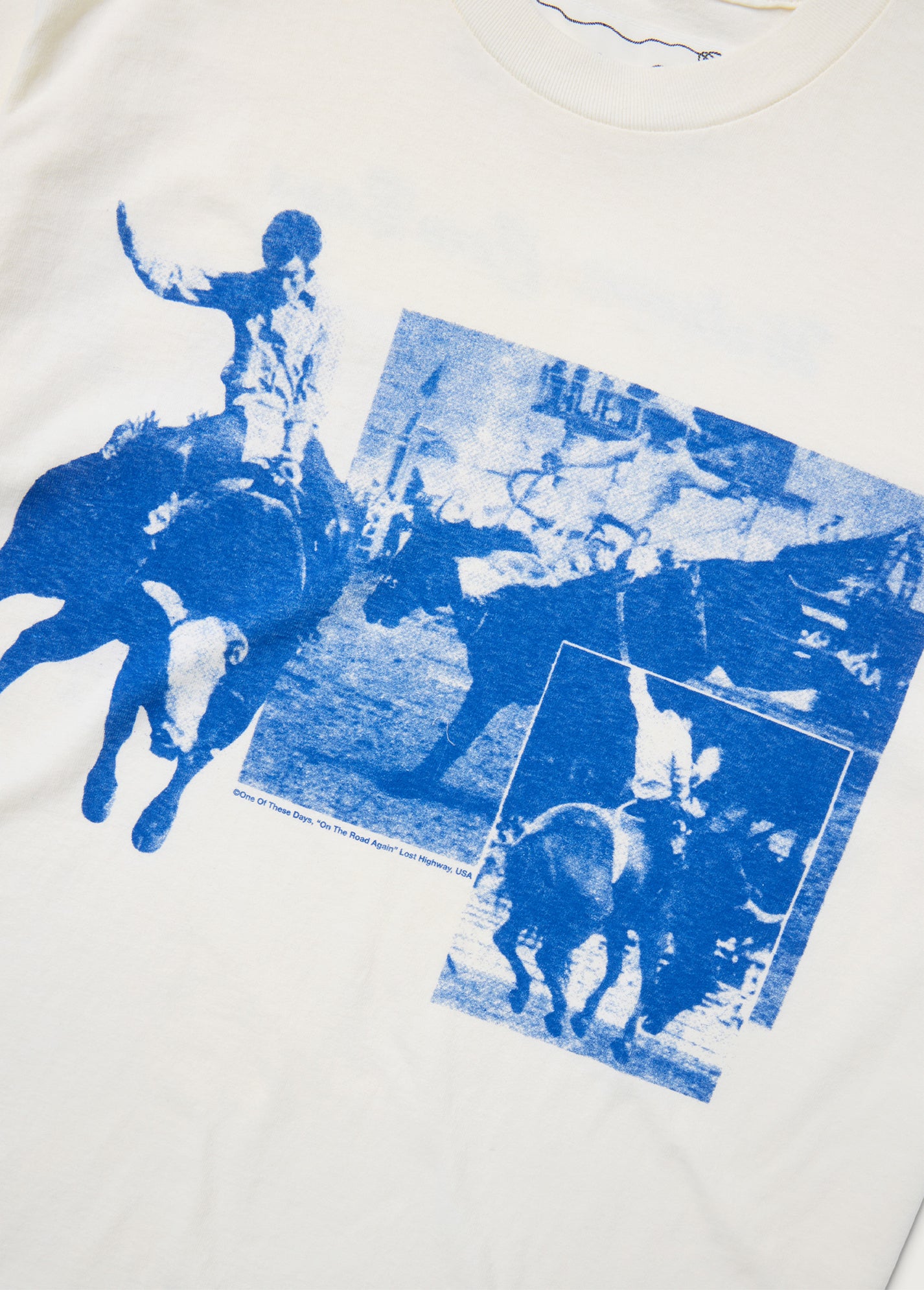 America's Sport T-Shirt | Bone | One Of These Days