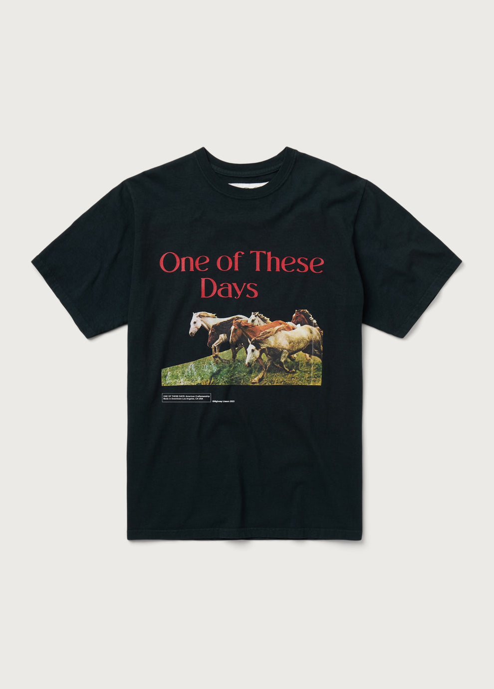 Wild Horses T-Shirt | Washed Black | Lone Star Cafe | One Of These Days